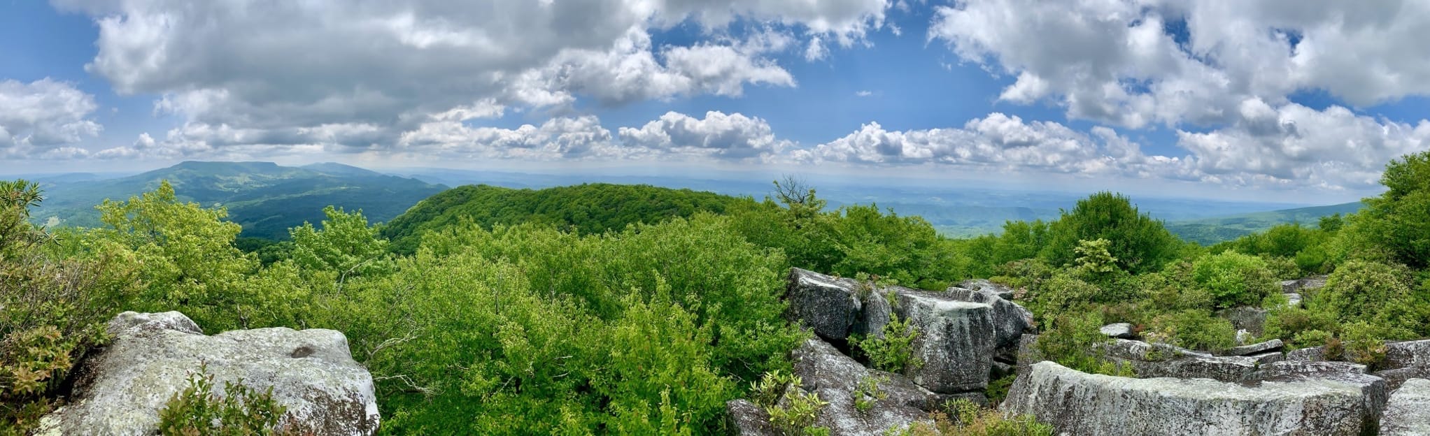 Brumley Mountain Trail Extended, Virginia - 11 Reviews, Map | AllTrails