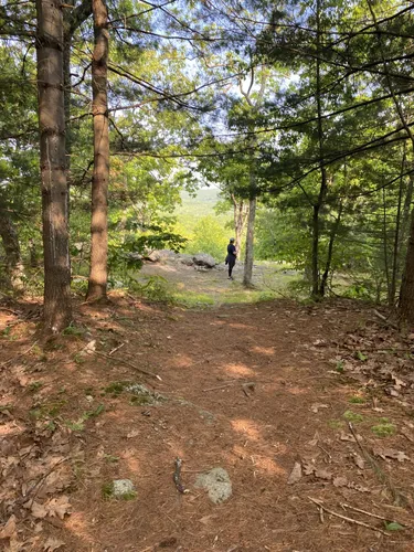 Best Hikes and Trails in Rice Nature Preserve | AllTrails