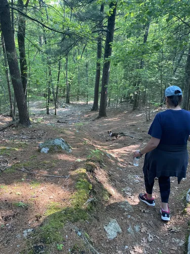 Best Hikes and Trails in Rice Nature Preserve | AllTrails