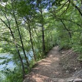 Alley Spring Overlook Trail, Missouri - 318 Reviews, Map | AllTrails