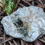 Talus Rocks Loop, Washington - 1,374 Reviews, Map | AllTrails