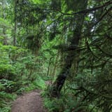 Talus Rocks Loop, Washington - 1,374 Reviews, Map | AllTrails