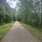 Tammany Trace Trail, Louisiana - 389 Reviews, Map | AllTrails