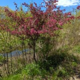 Broad Meadow Brook Trail, Massachusetts - 831 Reviews, Map | AllTrails