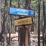 Mars Hill Trail, Arizona - 1,139 Reviews, Map | AllTrails