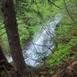 Walupt Lake Trail, Washington - 71 Reviews, Map | AllTrails