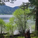 Walupt Lake Trail, Washington - 71 Reviews, Map | AllTrails