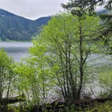 Walupt Lake Trail, Washington - 71 Reviews, Map | AllTrails