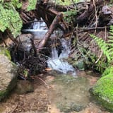 Walupt Lake Trail, Washington - 71 Reviews, Map | AllTrails