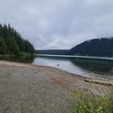 Walupt Lake Trail, Washington - 71 Reviews, Map | AllTrails