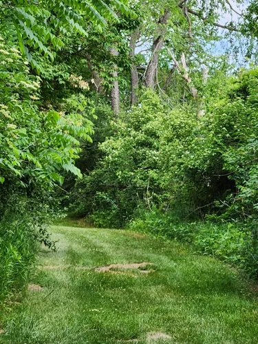 Best Hikes and Trails in Wapsi River Environmental Education Center ...