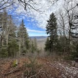Red Spruce Knob, West Virginia - 203 Reviews, Map | AllTrails
