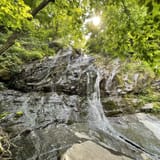 Jones Run Falls Trail, Virginia - 722 Reviews, Map | AllTrails