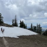Mores Mountain Loop, Idaho - 422 Reviews, Map | AllTrails