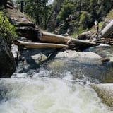 Viola Falls, California - 271 Reviews, Map | AllTrails