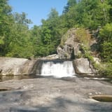 Lost Cove Loop Trail (262), North Carolina - 145 Reviews, Map | AllTrails