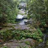 Lost Cove Loop Trail (262), North Carolina - 145 Reviews, Map | AllTrails