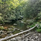 Lost Cove Loop Trail (262), North Carolina - 145 Reviews, Map | AllTrails