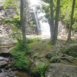 Lost Cove Loop Trail (262), North Carolina - 145 Reviews, Map | AllTrails