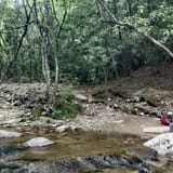 Lost Cove Loop Trail (262), North Carolina - 144 Reviews, Map | AllTrails