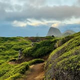 Ohai Trail Loop, Maui, Hawaii - 747 Reviews, Map | AllTrails