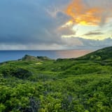 Ohai Trail Loop, Maui, Hawaii - 747 Reviews, Map | AllTrails