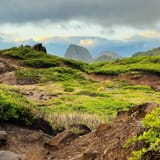 Ohai Trail Loop, Maui, Hawaii - 747 Reviews, Map | AllTrails