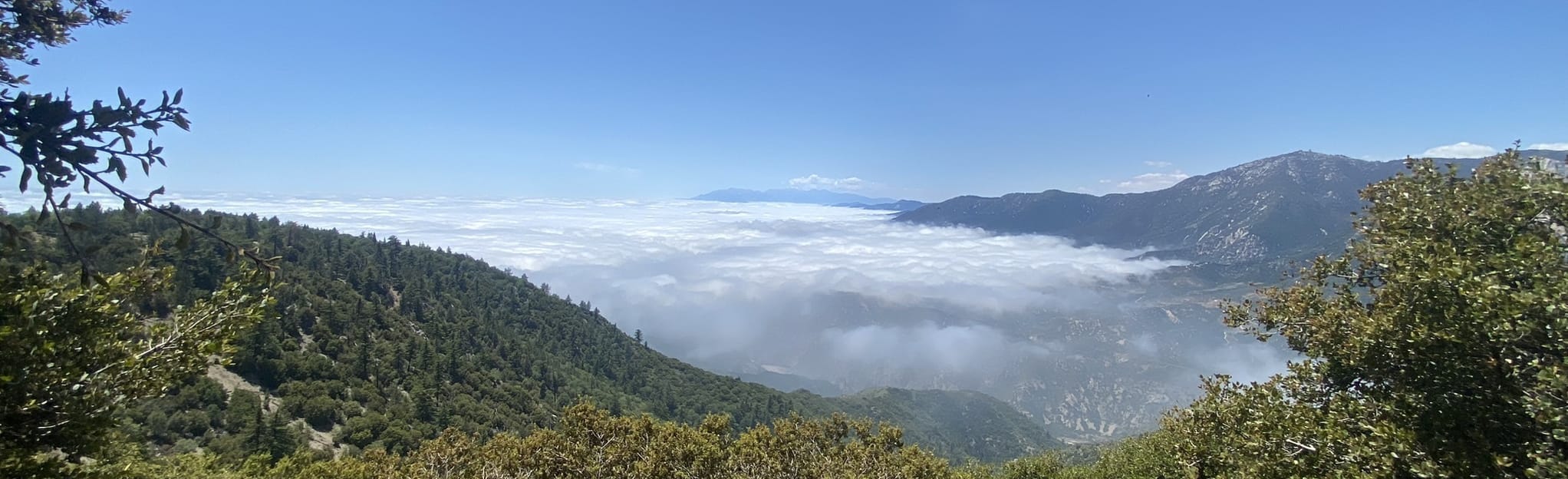 Lower Santa Ana River Trail, California - 11 Reviews, Map | AllTrails