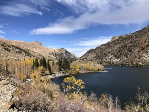 10 Best Hikes and Trails in Inyo National Forest | AllTrails