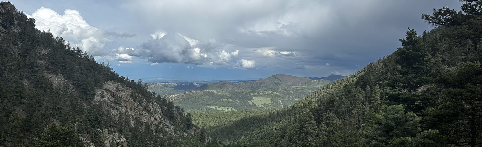 AllTrails | Lewis Creek Trail via Route 96: 96 Reviews, Map - Colorado