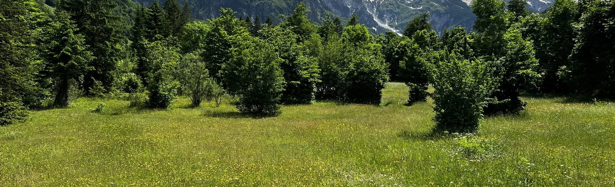 Valbona: Maja Rosit, Kukës, Albania - 81 Reviews, Map | AllTrails