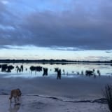 Lake Gnangara Walk, Western Australia, Australia - 22 Reviews, Map ...
