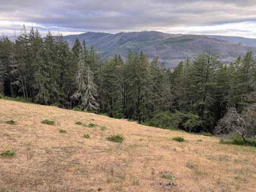 10 Best Trails and Hikes in Molalla | AllTrails