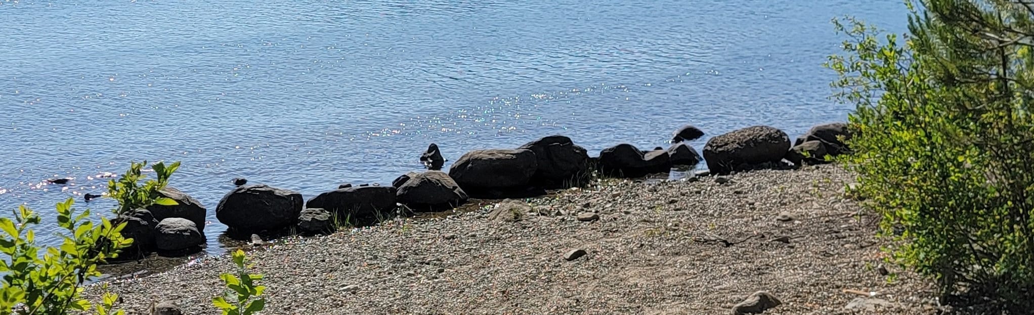 Sproat Lake Paddle, British Columbia, Canada - 1 Reviews, Map | AllTrails