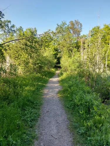 Best Hikes and Trails in Parc du Lac-Beauchamp | AllTrails