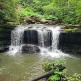 Concho Overlook, West Virginia - 169 Reviews, Map | AllTrails