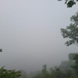 Concho Overlook, West Virginia - 169 Reviews, Map | AllTrails