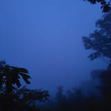 Concho Overlook, West Virginia - 169 Reviews, Map | AllTrails