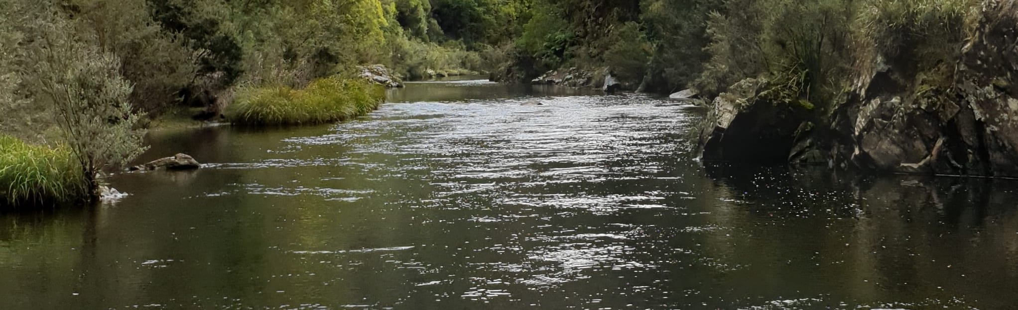Walhalla to Thomson Station via Poverty Point Bridge, Victoria ...