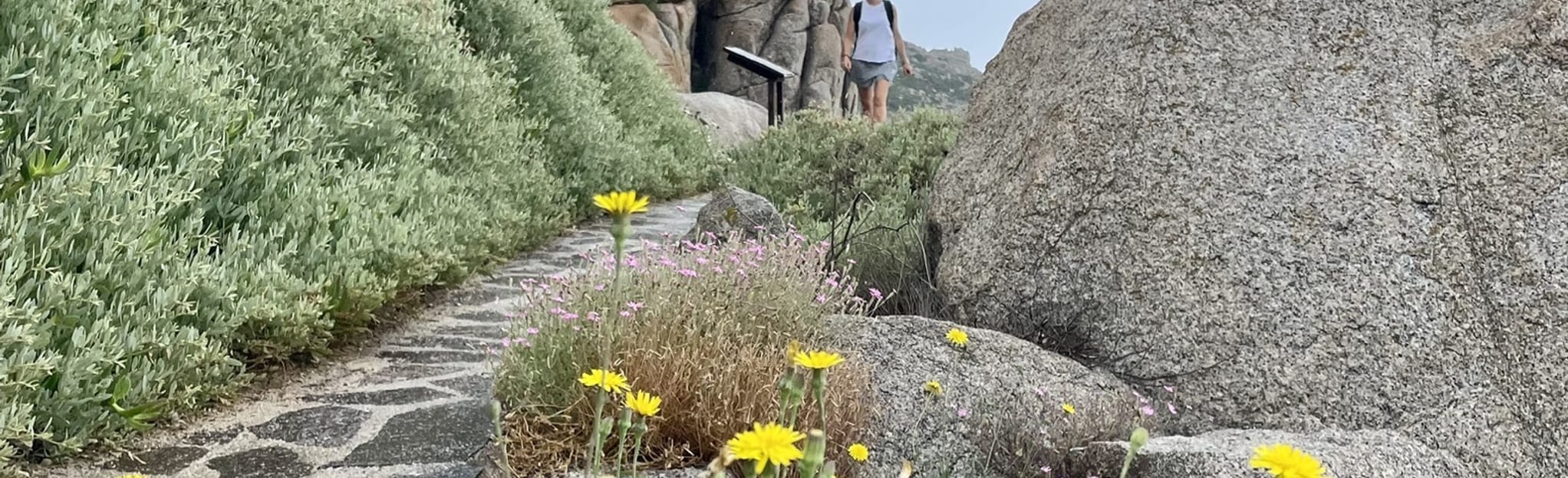 La Ficaccia - Punta Falcone - Punta Becchi, Sardinia, Italy - 5 Reviews ...