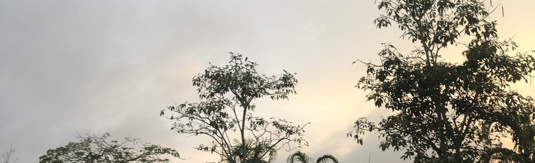 Parit Raja via Jalan Delta Loop: 2 foto's - Johor, Maleisië | Wandelen ...