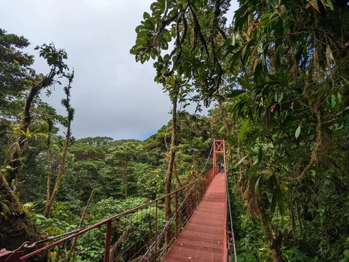 Best Hikes and Trails in Monteverde Cloud Forest Reserve | AllTrails