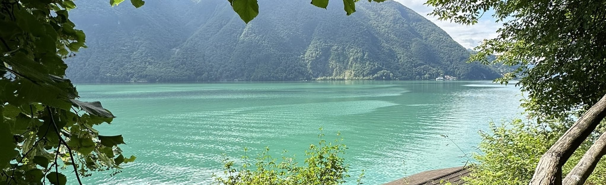 Sentiero dell'Olivo di Gandria, Ticino, Switzerland - 14 Reviews, Map ...