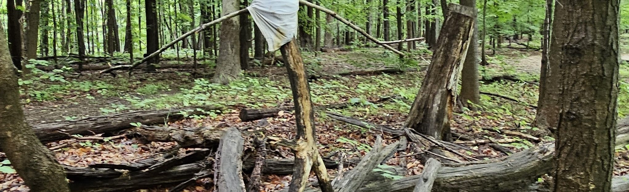 Lamb Loop: 252 Reviews, Map - Ohio | AllTrails