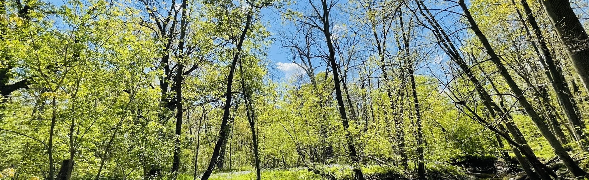 Hawthorn Hollow Nature Sanctuary and Arboretum : 97 Photos - Wisconsin ...