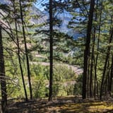 Seton Lake Lookout, British Columbia, Canada - 260 Reviews, Map | AllTrails