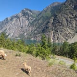 Seton Lake Lookout, British Columbia, Canada - 260 Reviews, Map | AllTrails