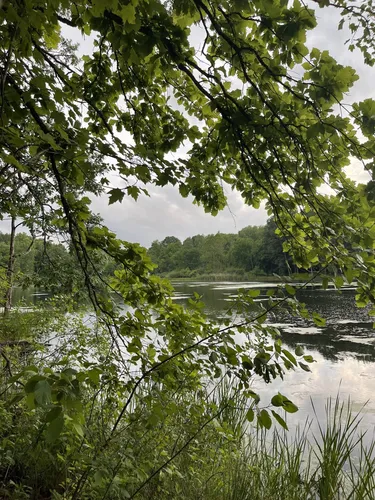 Best Hikes and Trails in Seneca Ponds Park | AllTrails