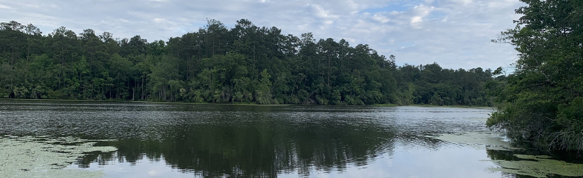 Lake Perry Educational Nature Loop, Mississippi - 4 Reviews, Map ...