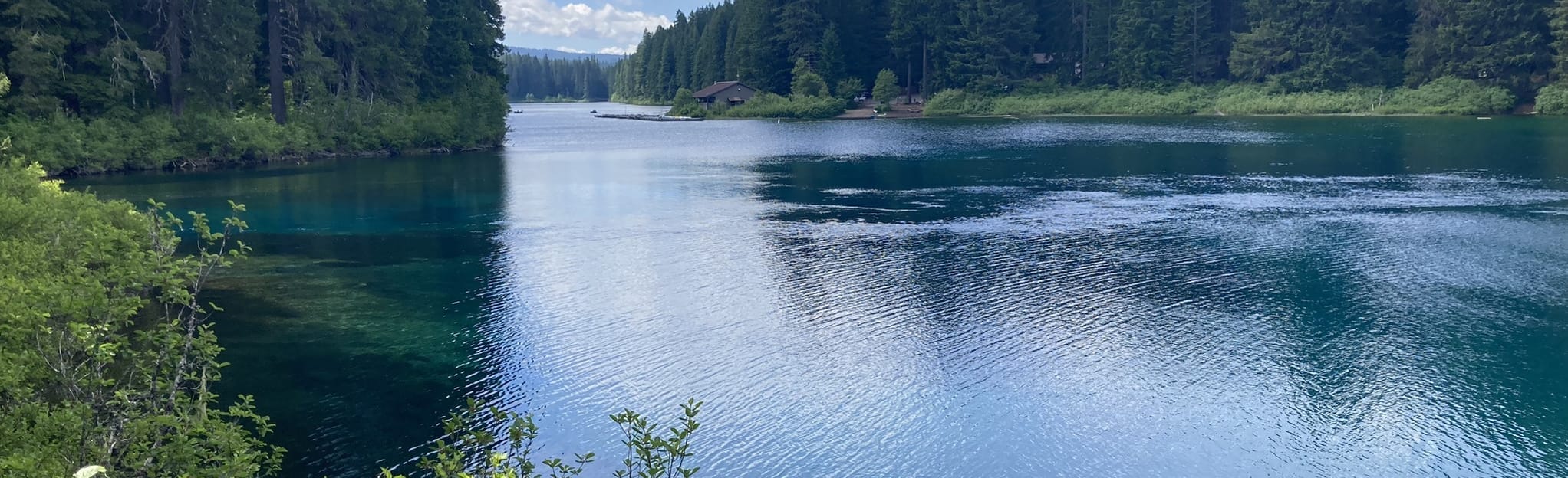 McKenzie River National Recreational Trail [CLOSED], Oregon - 221 ...